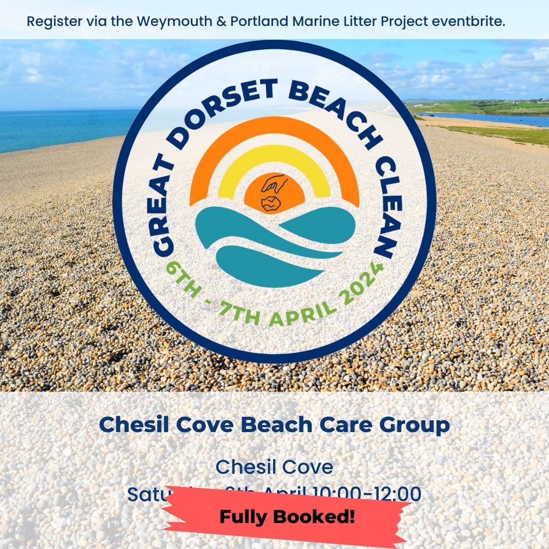 Great Dorset Beach Clean – Litter Free Dorset